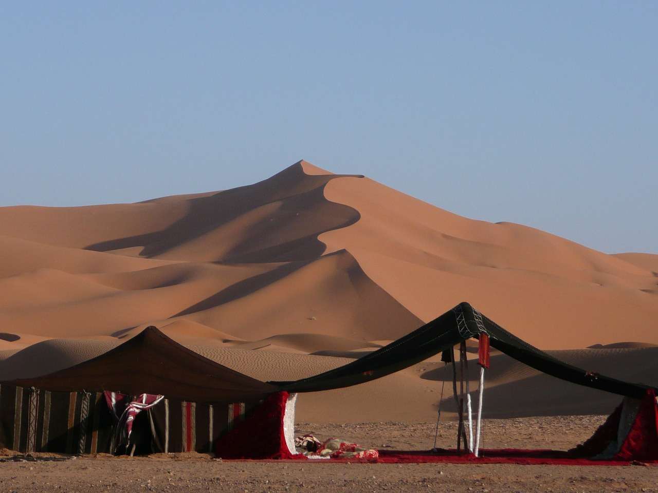 Desert Tours - Perfect Travel Excursions